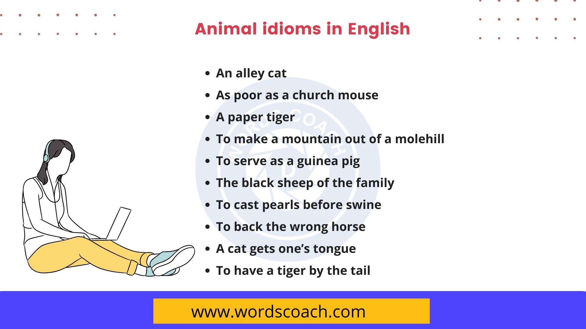 Animal Idioms In English Word Coach
