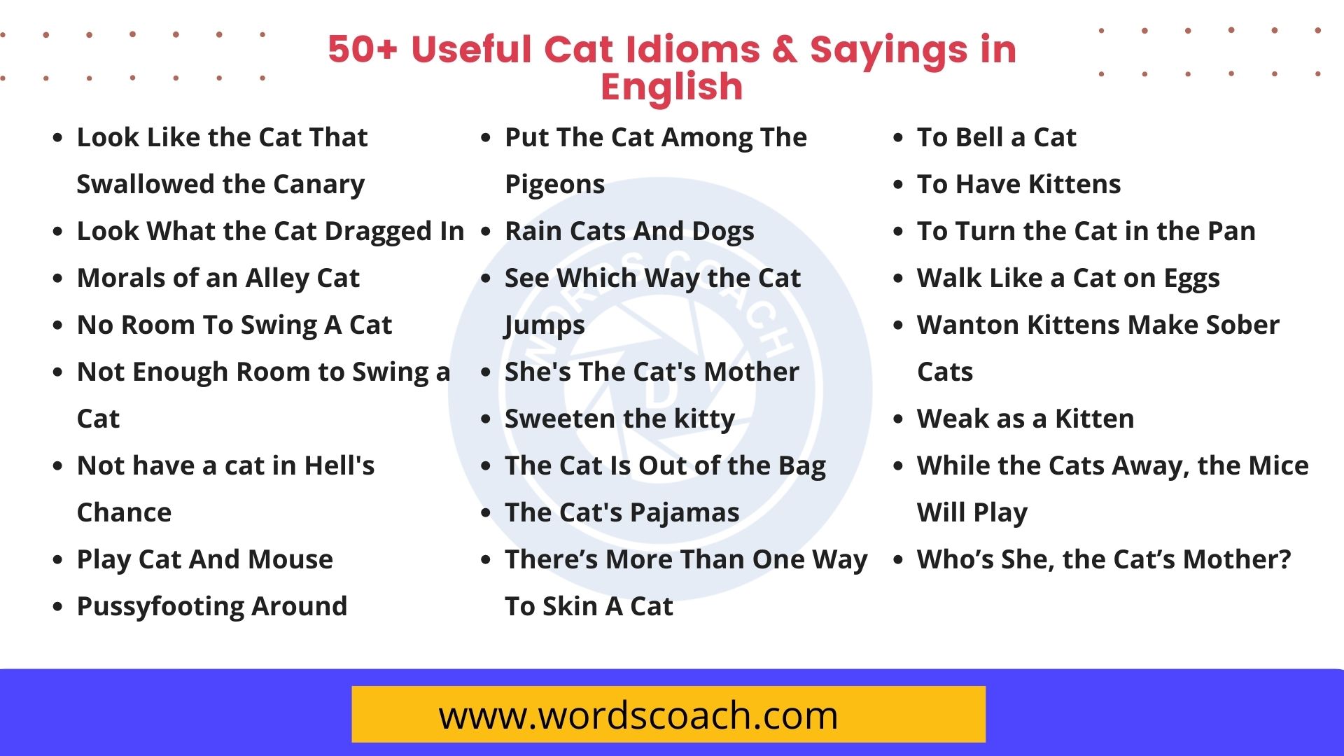 50+ Useful Cat Idioms & Sayings in English - Word Coach