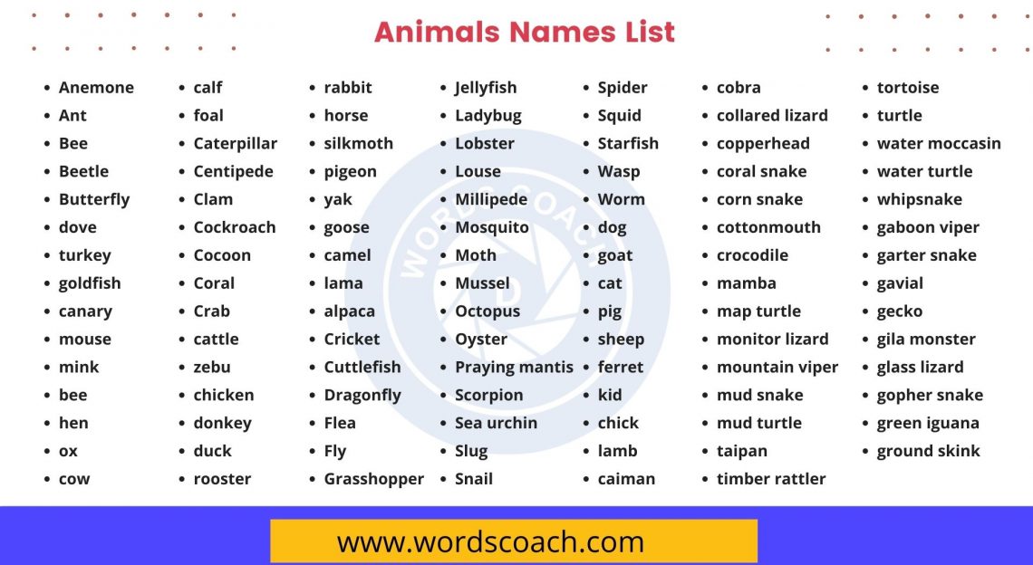 100 Animals Names Animals Names List Word Coach