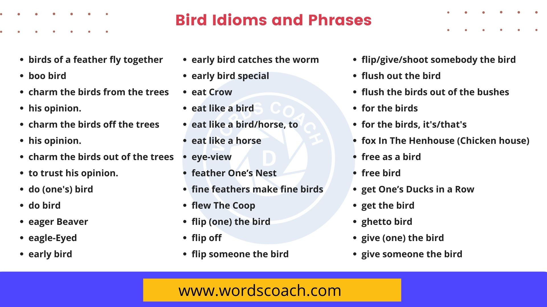 100+ Bird Idioms and Phrases - Word Coach