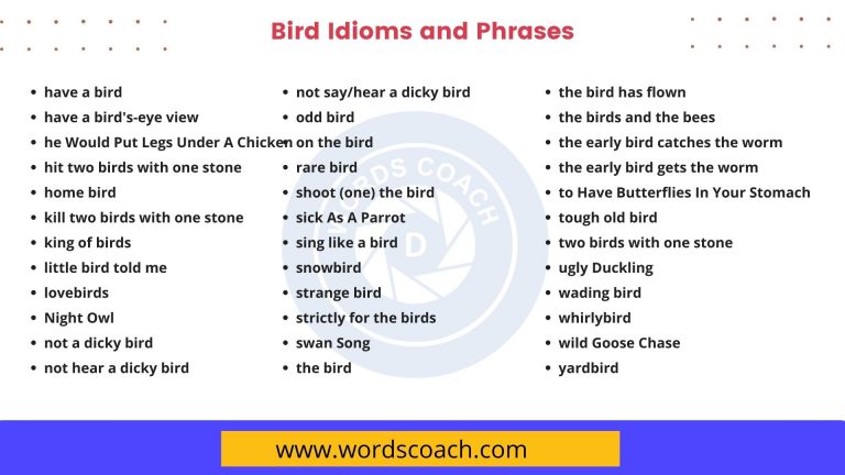 100+ Bird Idioms and Phrases - Word Coach