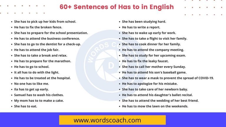60+ Sentences of Has to in English - Word Coach