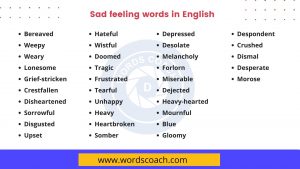 Feeling words in English - Word Coach