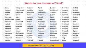 Words to Use Instead of Said - Word Coach