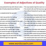 200+ Sentences Using Adjectives in English - Word Coach