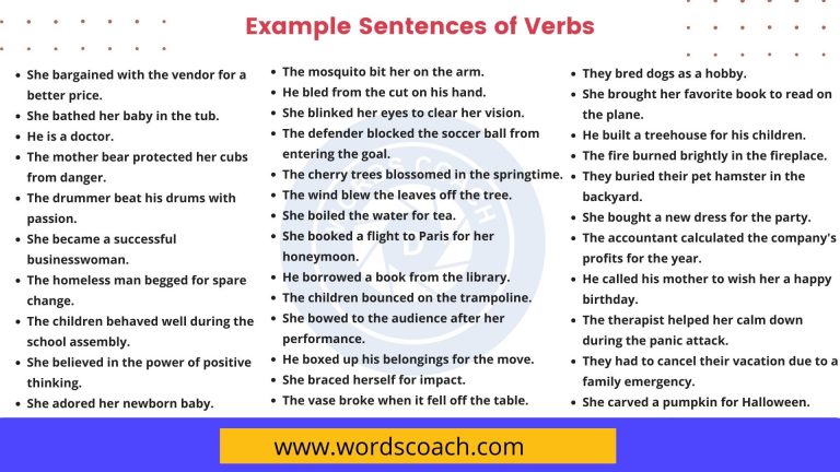 200+ Example Sentences of Verbs - Word Coach